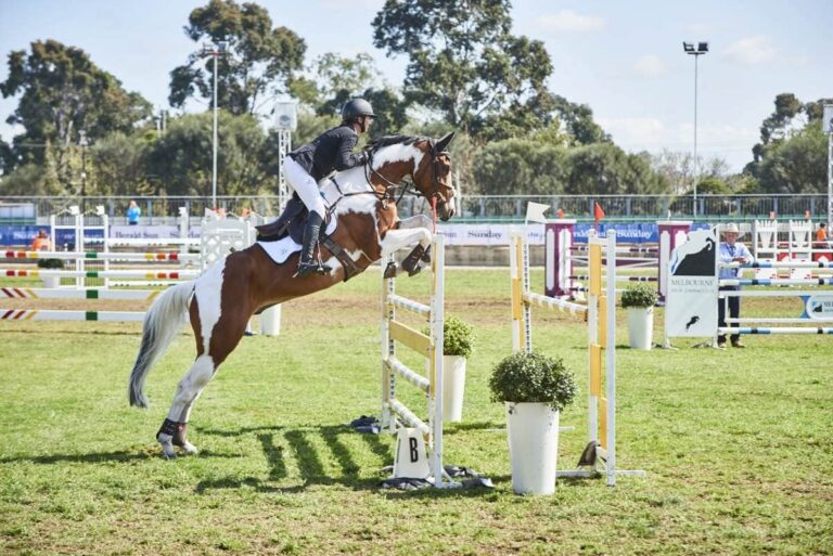 Entries are open for the Melbourne Royal Horses in Action Competition ...