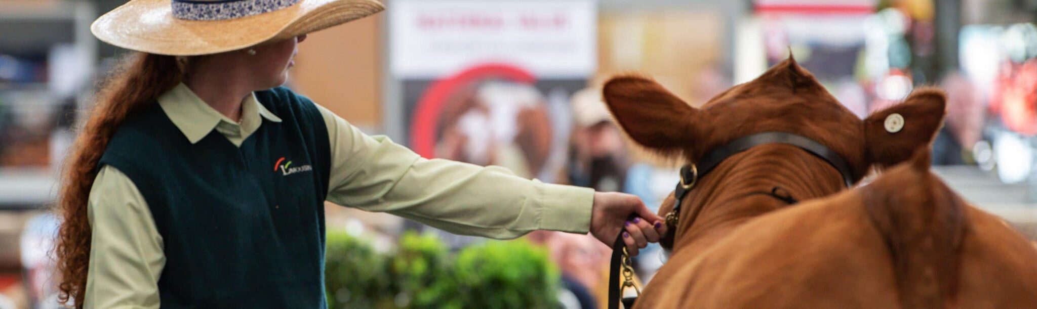 Blue-Ribbon Competitions - Melbourne Royal Show