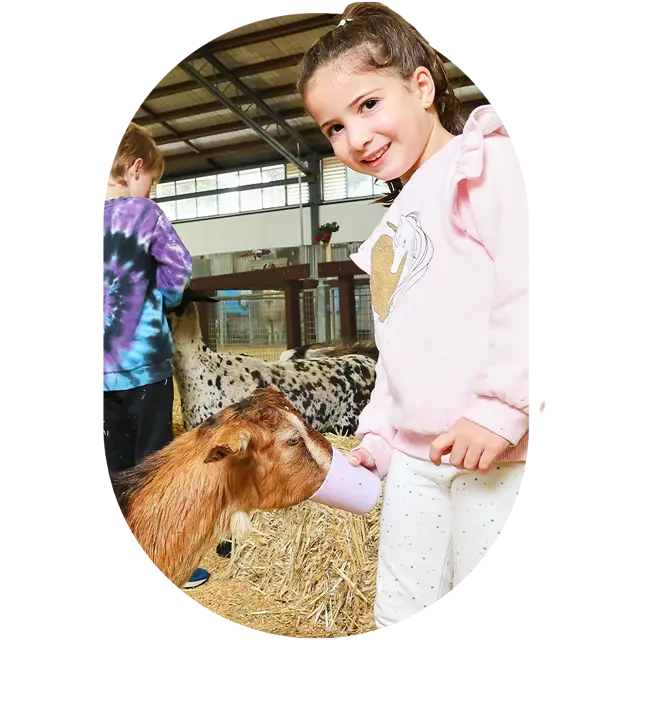 Melbourne Royal Show - Where every day is not your everyday