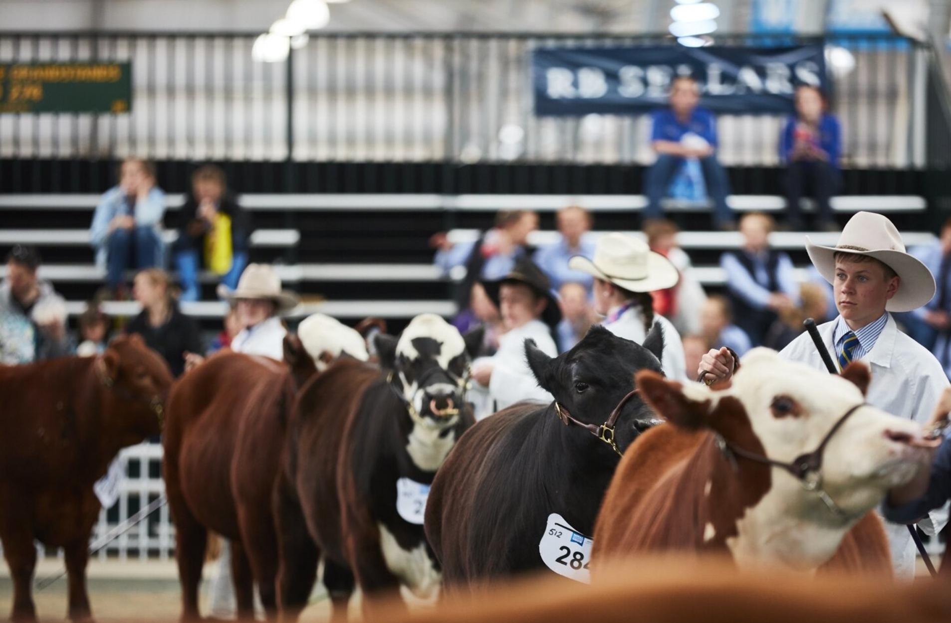 Melbourne Royal Show - Where every day is not your everyday