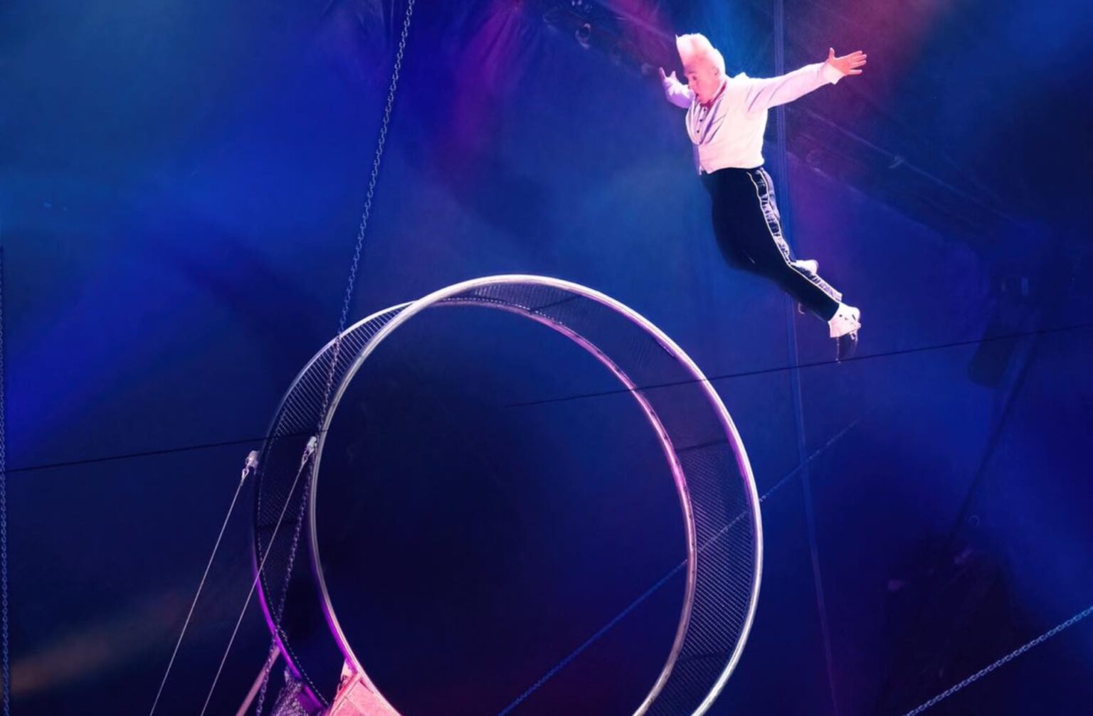 Melbourne Royal Show - Where every day is not your everyday