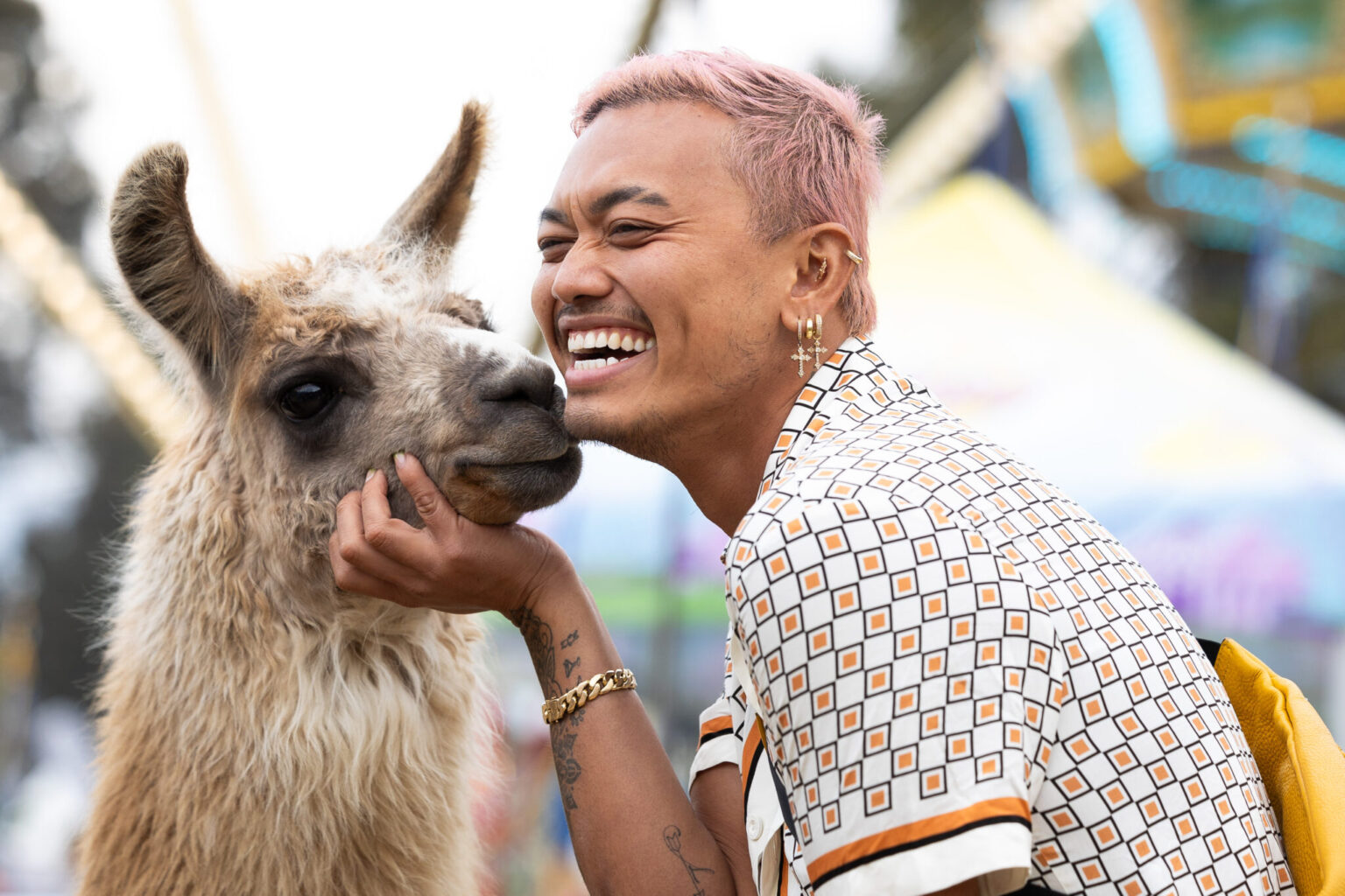 Melbourne Royal Show - Where every day is not your everyday