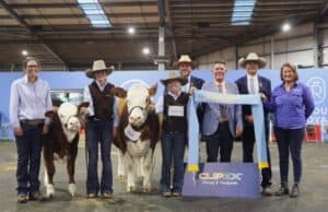 Beef Cattle Competition winners crowned at 2023 Melbourne Royal Show ...