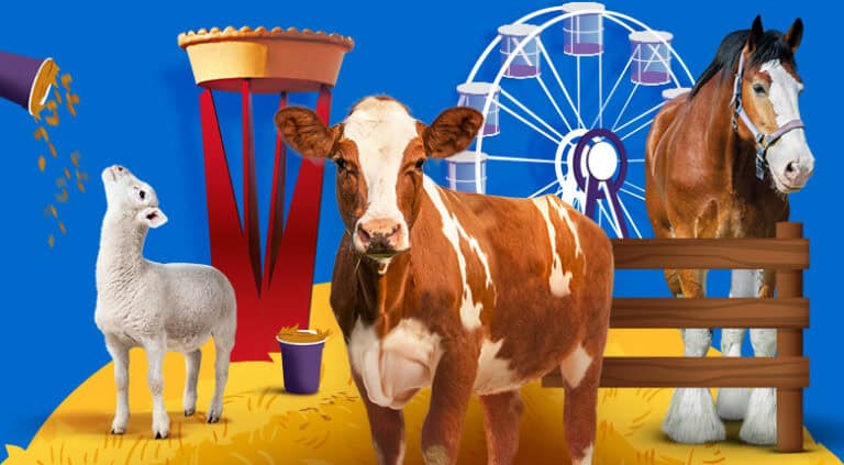 Blue-Ribbon Competitions - Melbourne Royal Show