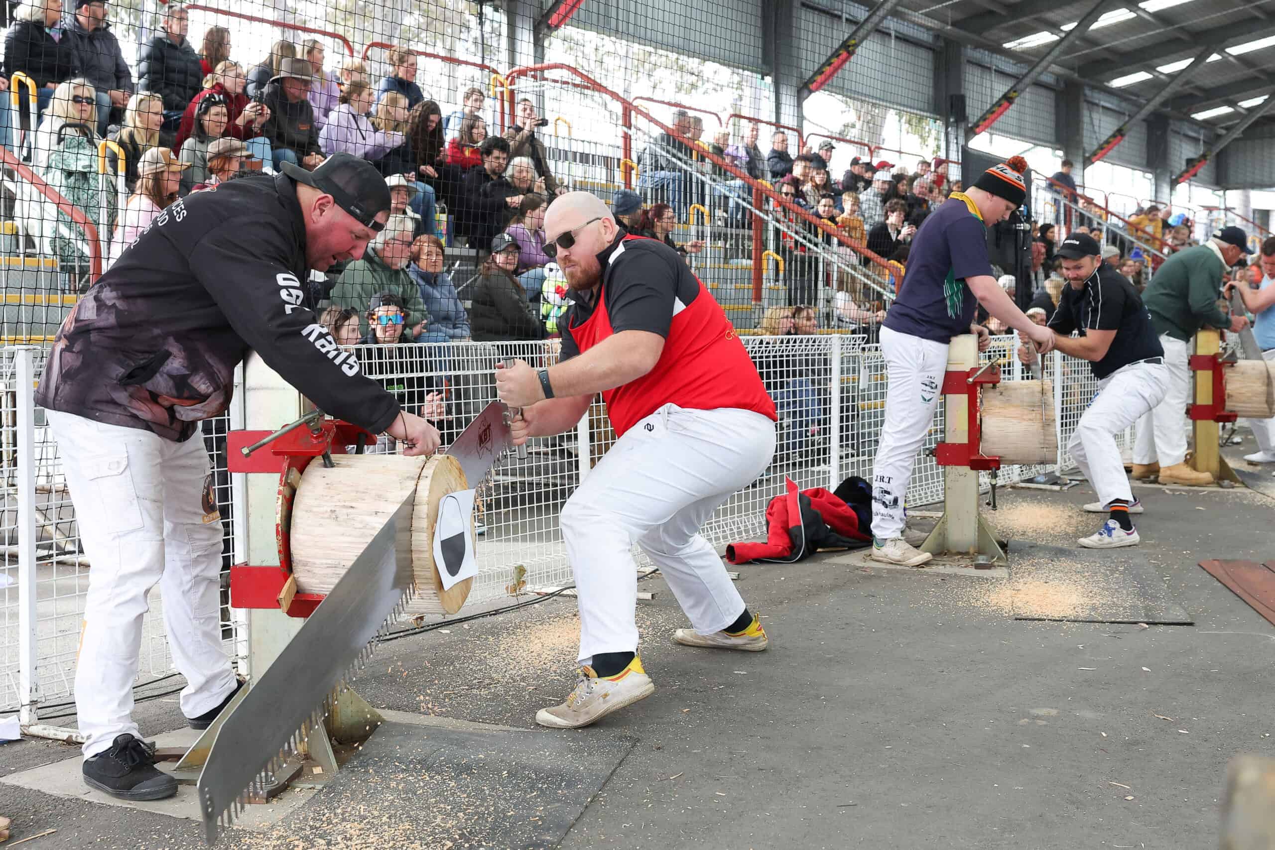 That’s a wrap: Day 1 at the Melbourne Royal Show - Melbourne Royal Show