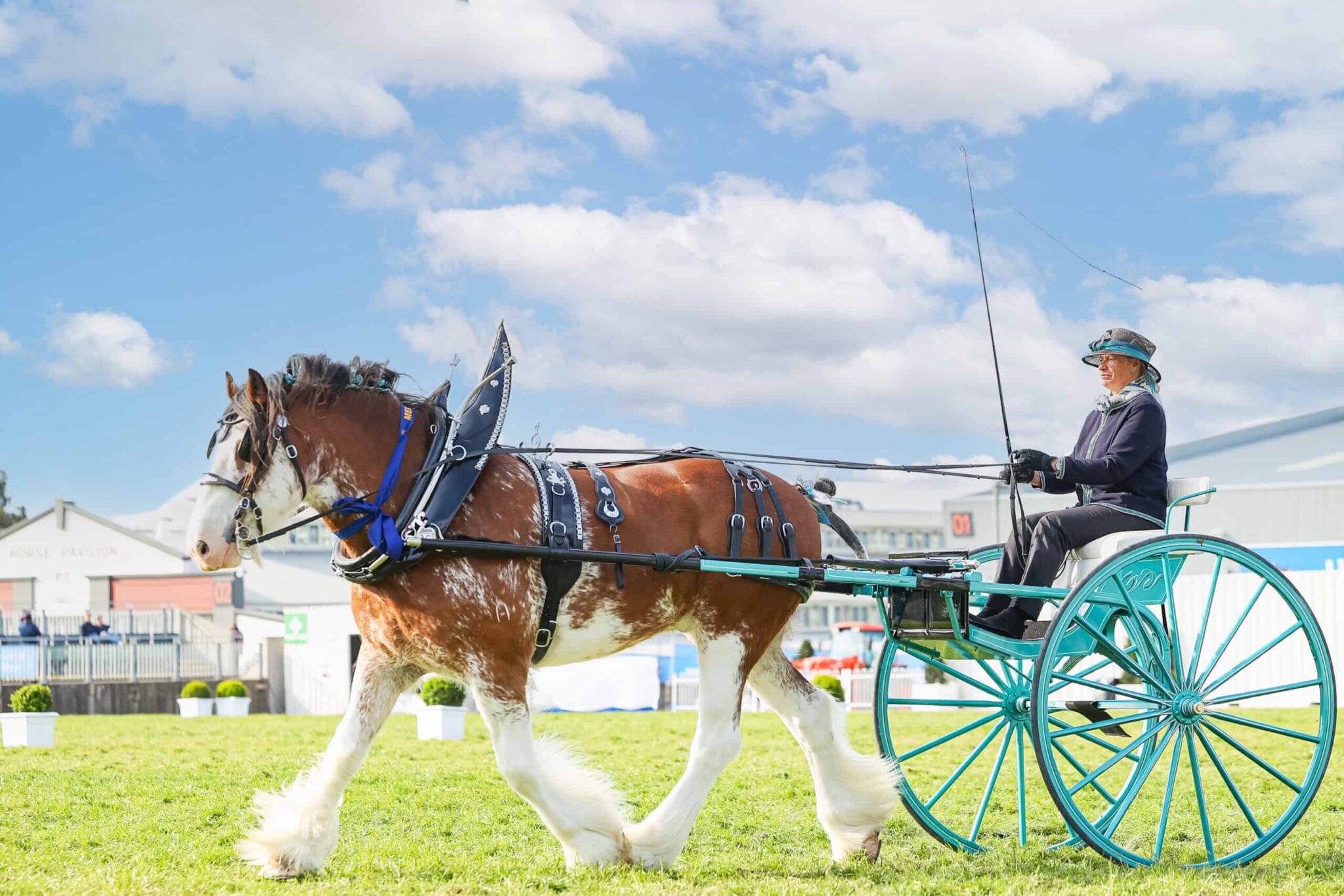 That’s a wrap: Day 5 at the Melbourne Royal Show - Melbourne Royal Show