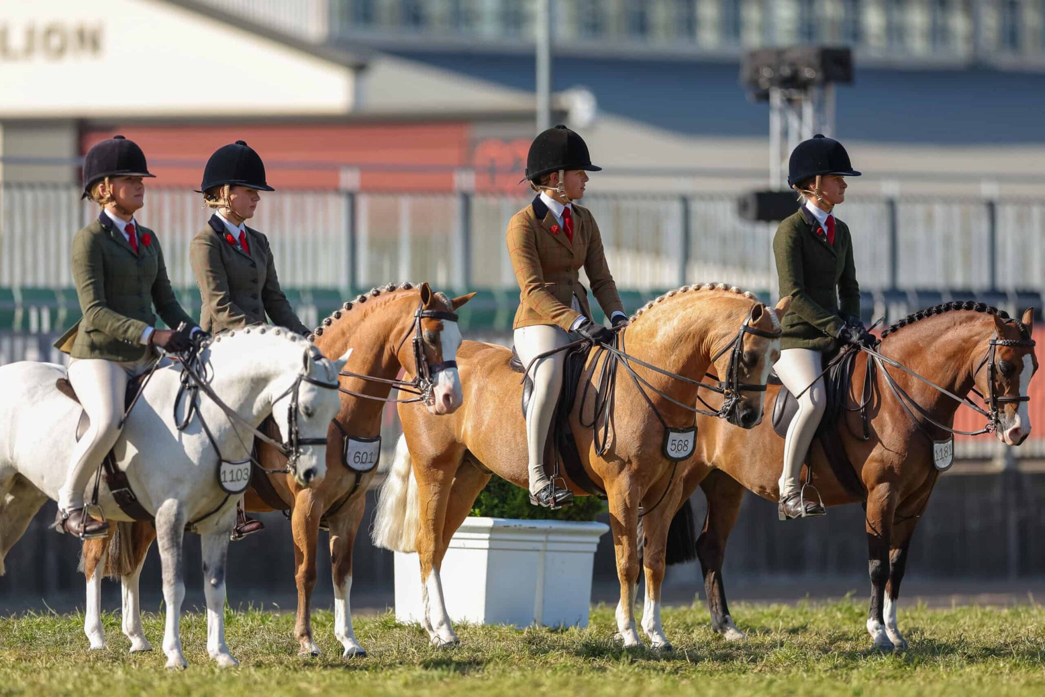 That’s a wrap: Day 7 at the Melbourne Royal Show - Melbourne Royal Show