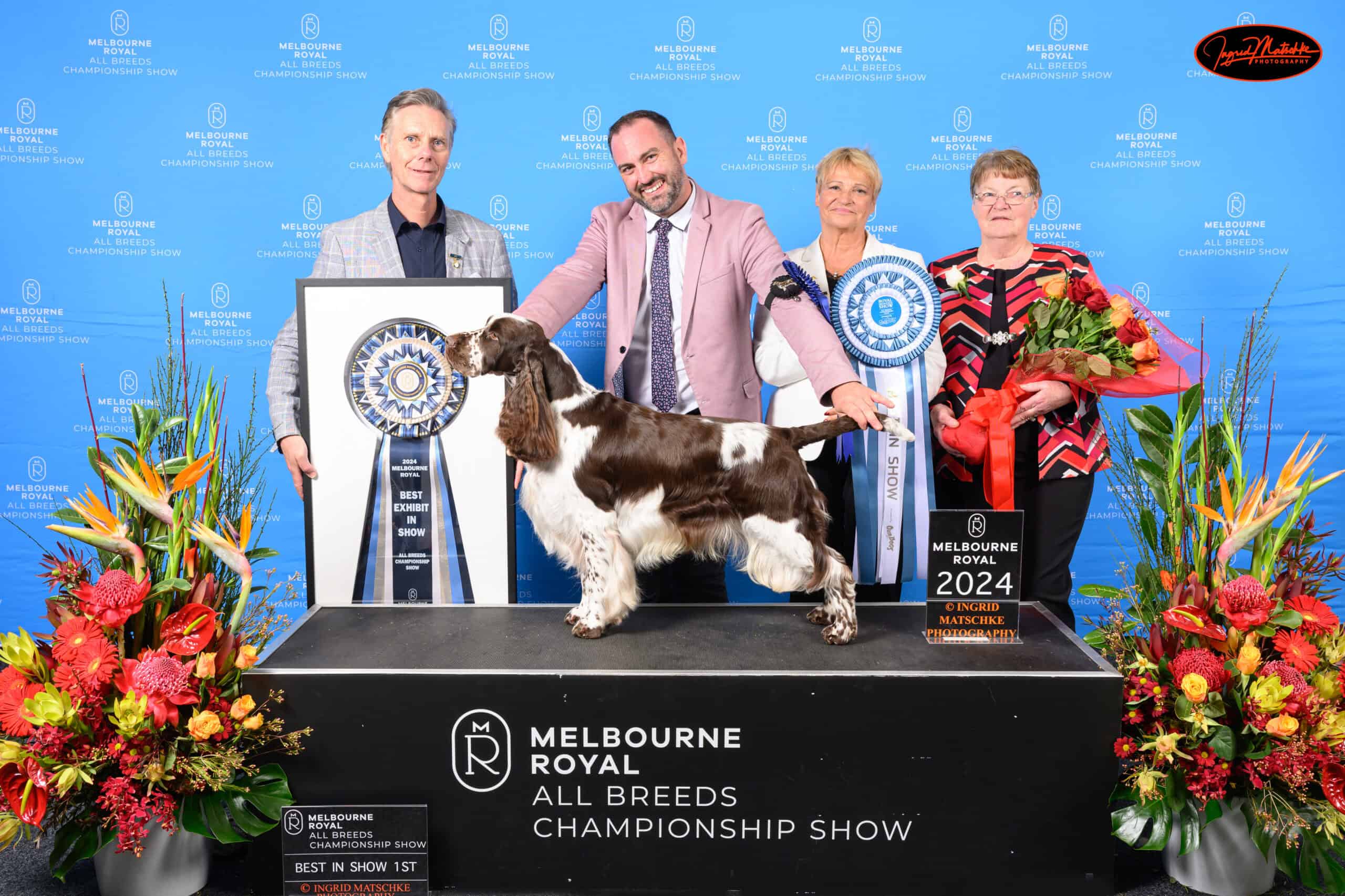 Sandicam This Is Me wins Best in Show at 2024 Melbourne Royal All ...