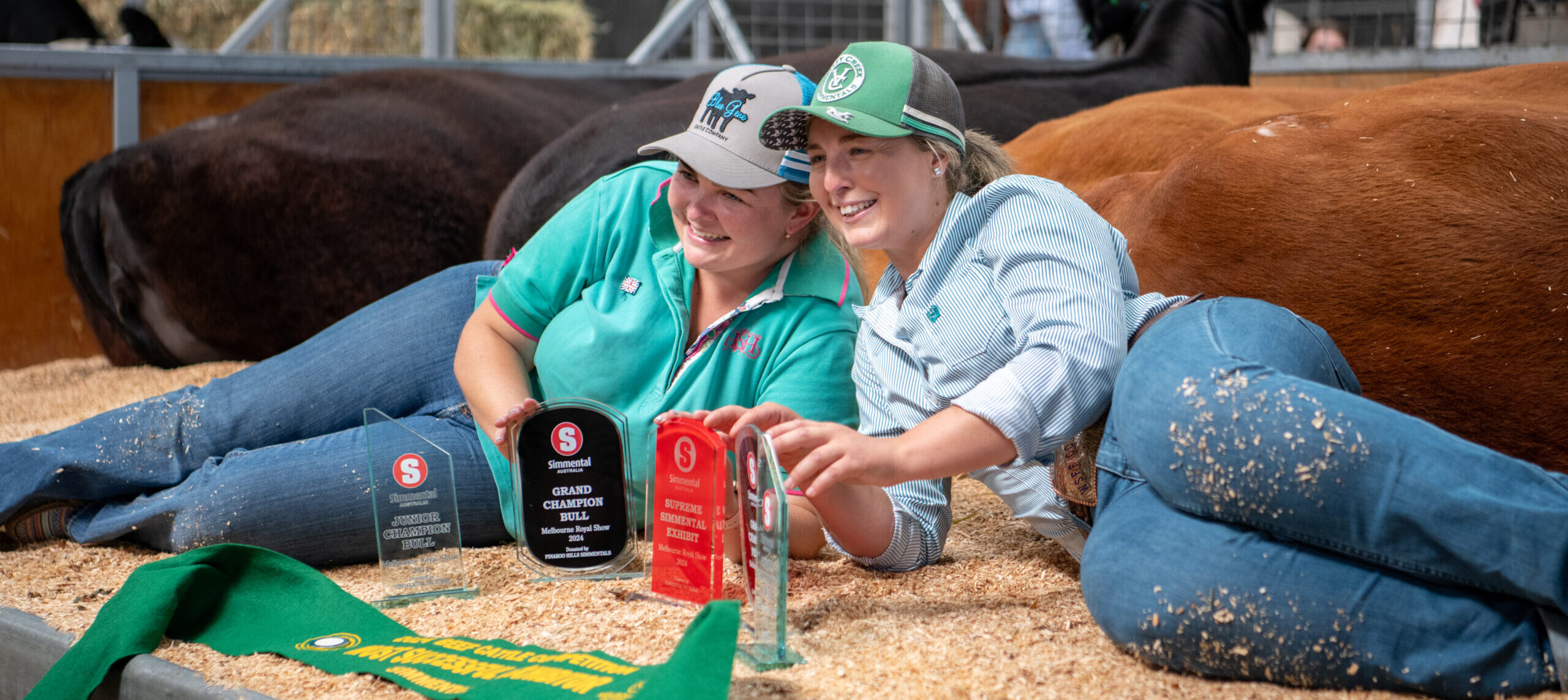 2024 Melbourne Royal Beef Cattle Competition Victors - Melbourne Royal Show