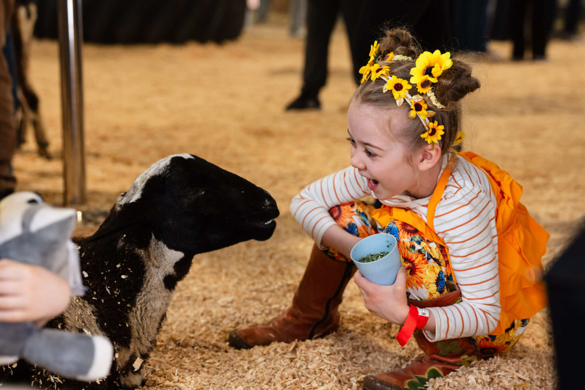 Melbourne Royal Show 2025: Highlights from the First Days - Melbourne ...